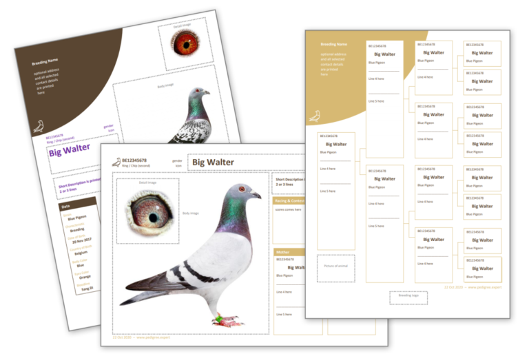 Pedigree Expert - Online Chart Maker for Horses, Pigeons, Dogs, Cats, etc